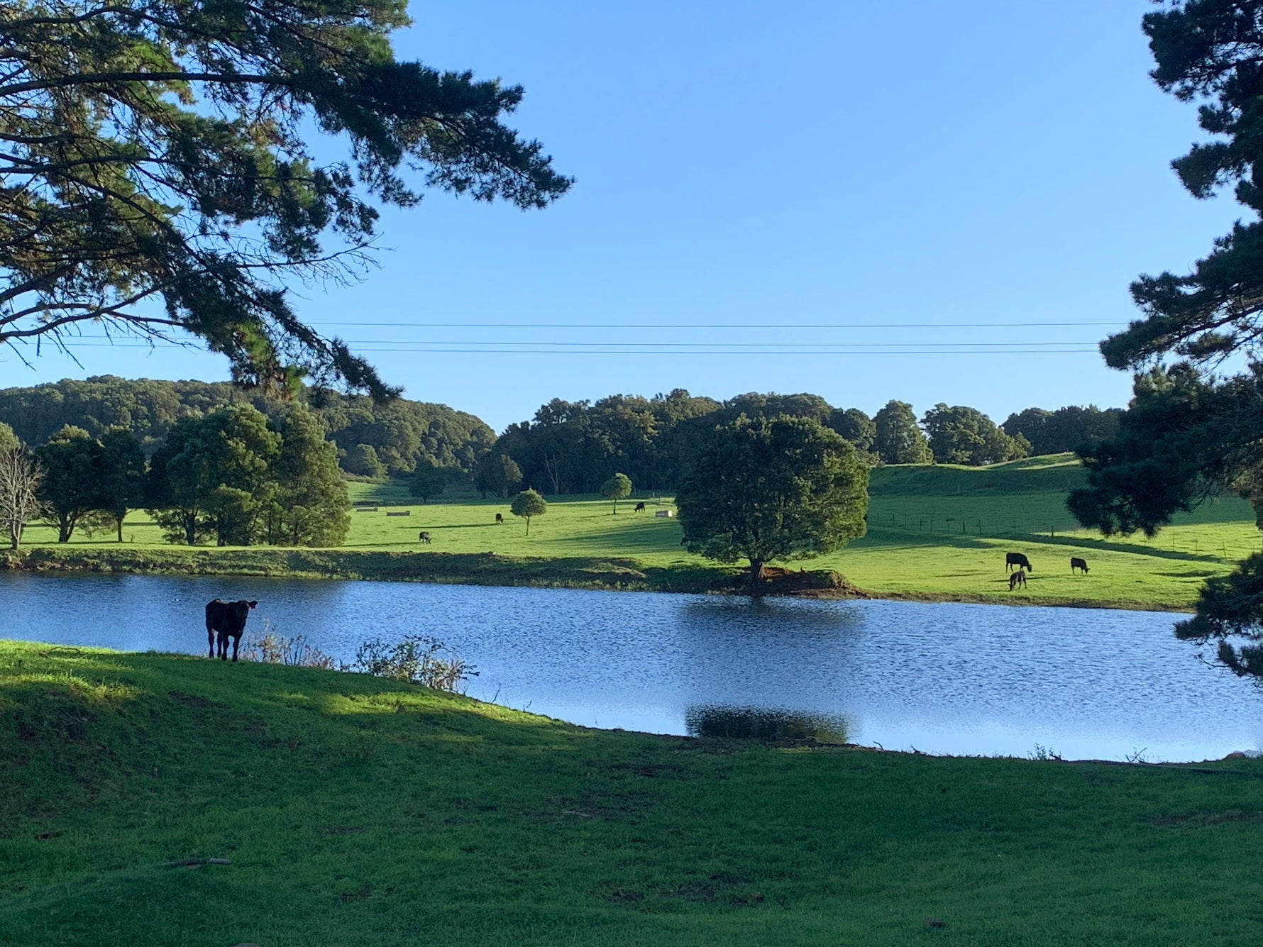 Clavering Hill