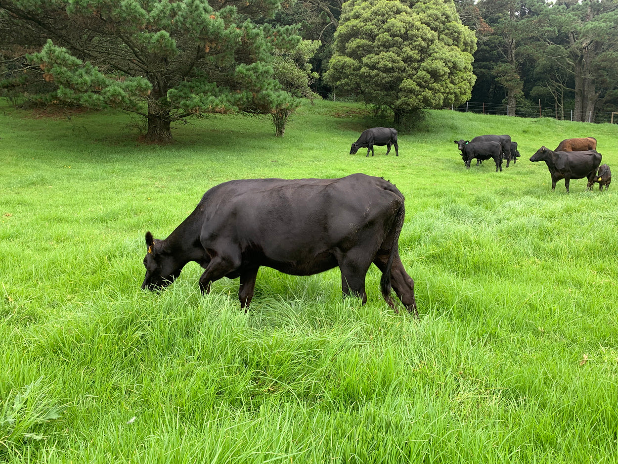 About our Farm – Clavering Hill